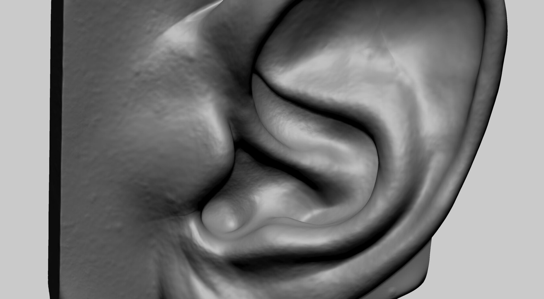 ArtStation - Ear Model B | Resources
