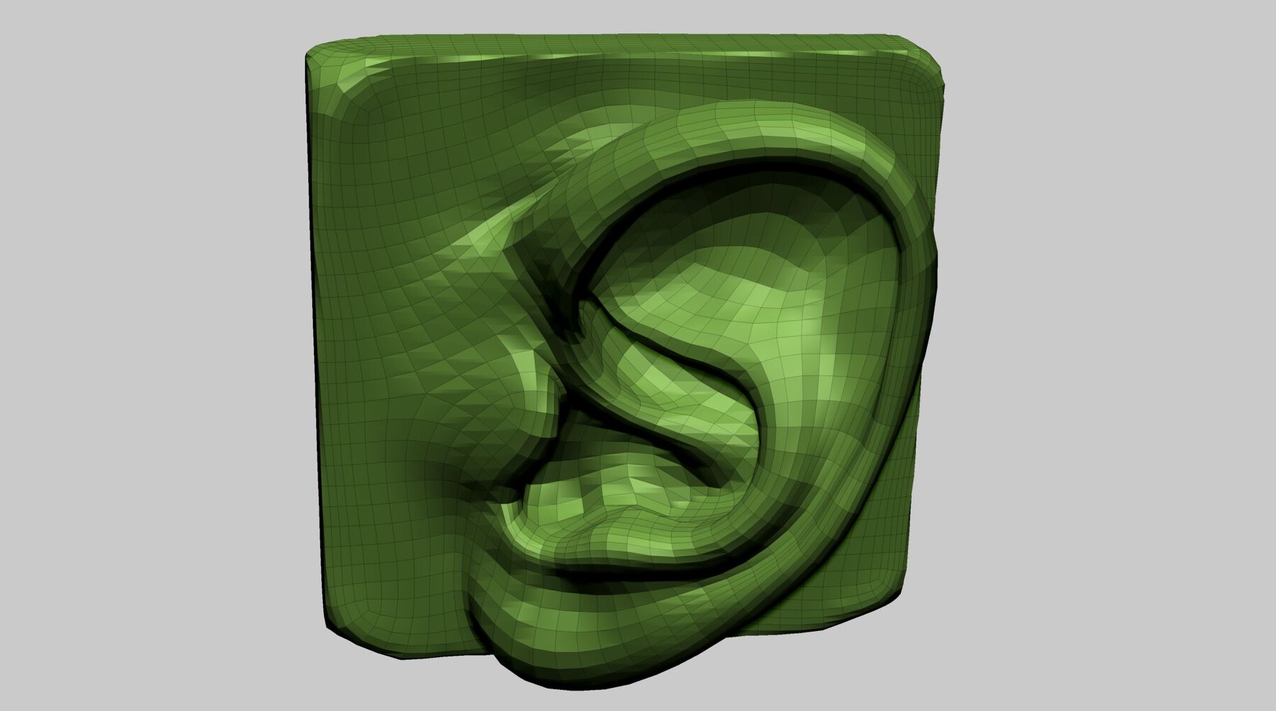 ArtStation - Ear Model B | Resources