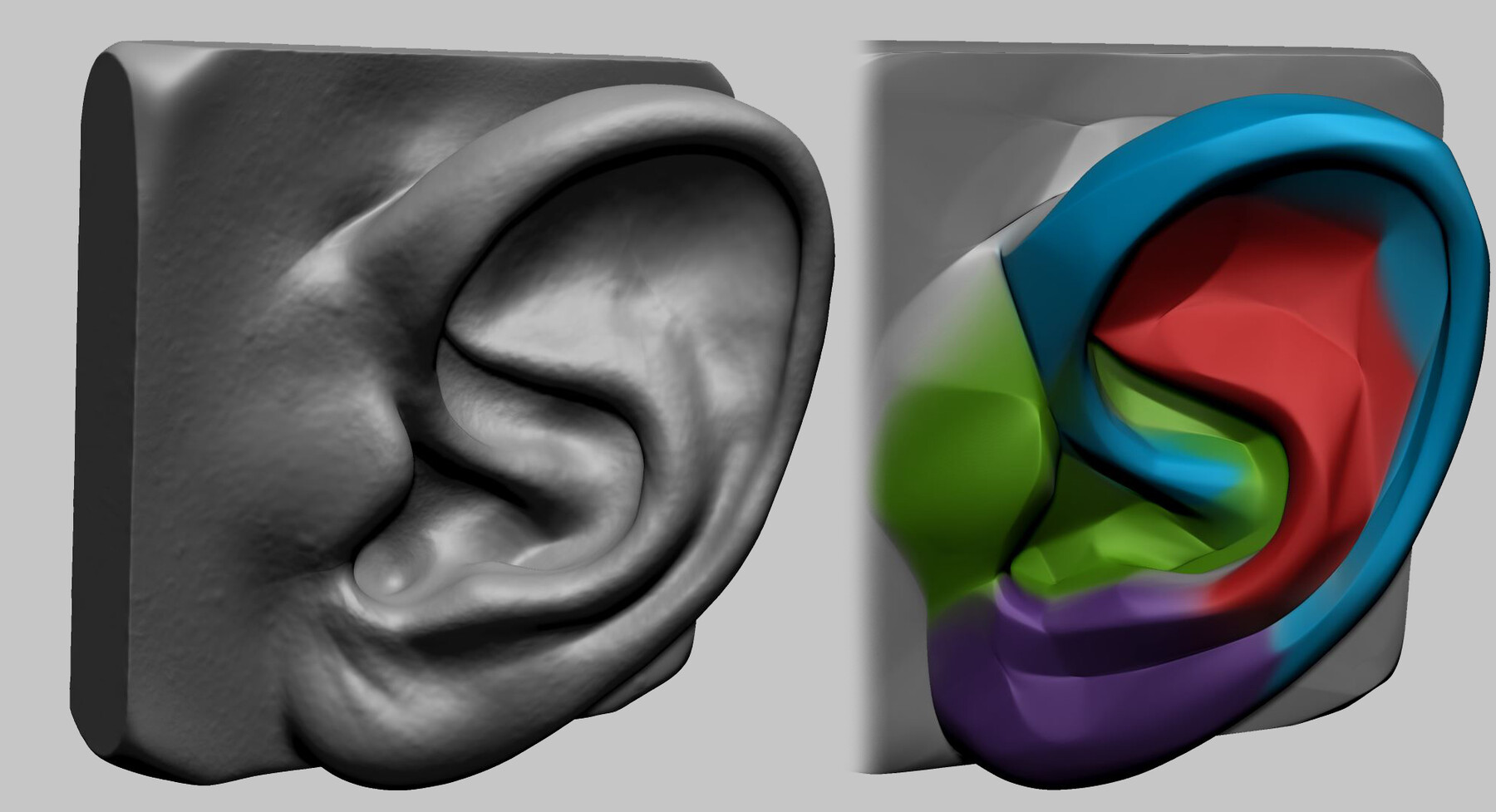 ArtStation - Ear Model B | Resources