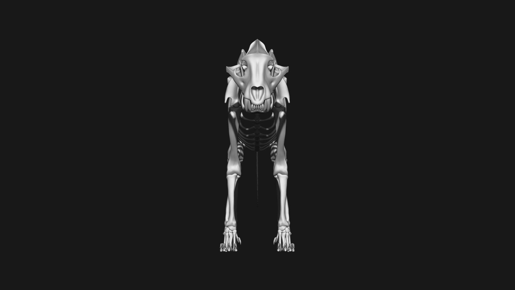 ArtStation - Jaguar skeleton | Resources