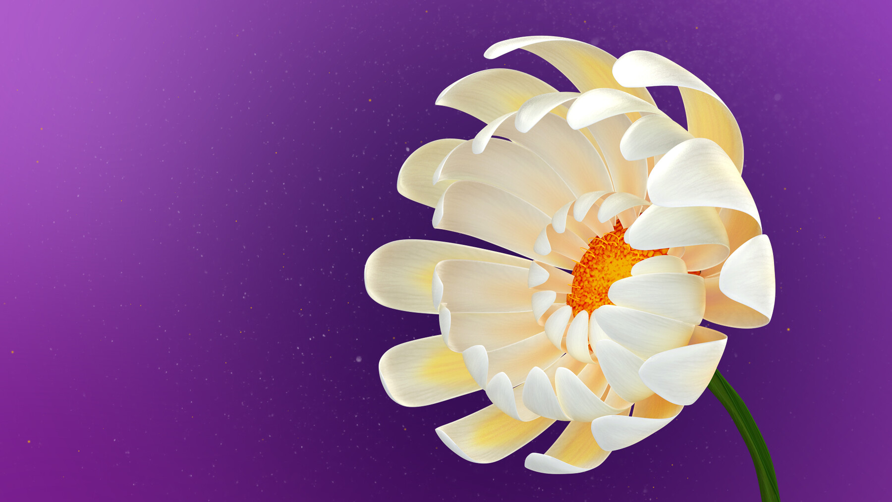 ArtStation - Beautiful Animated White Daisy Flower 3D model | Resources