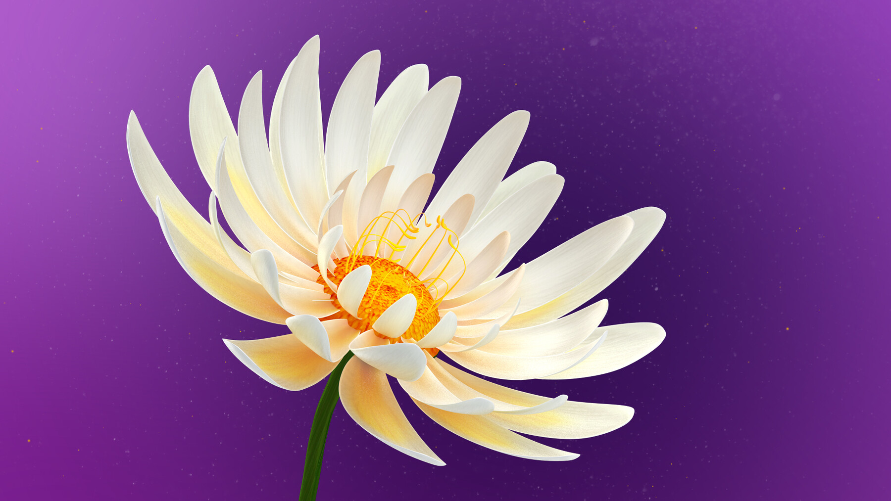 ArtStation - Beautiful Animated White Daisy Flower 3D model | Resources