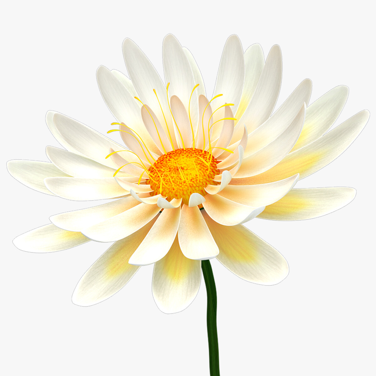 ArtStation - Beautiful Animated White Daisy Flower 3D model | Resources