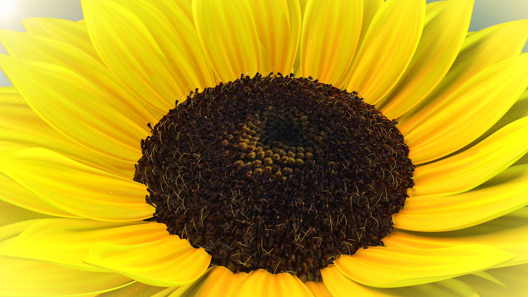 ArtStation - 3d Sunflower Animated | Resources
