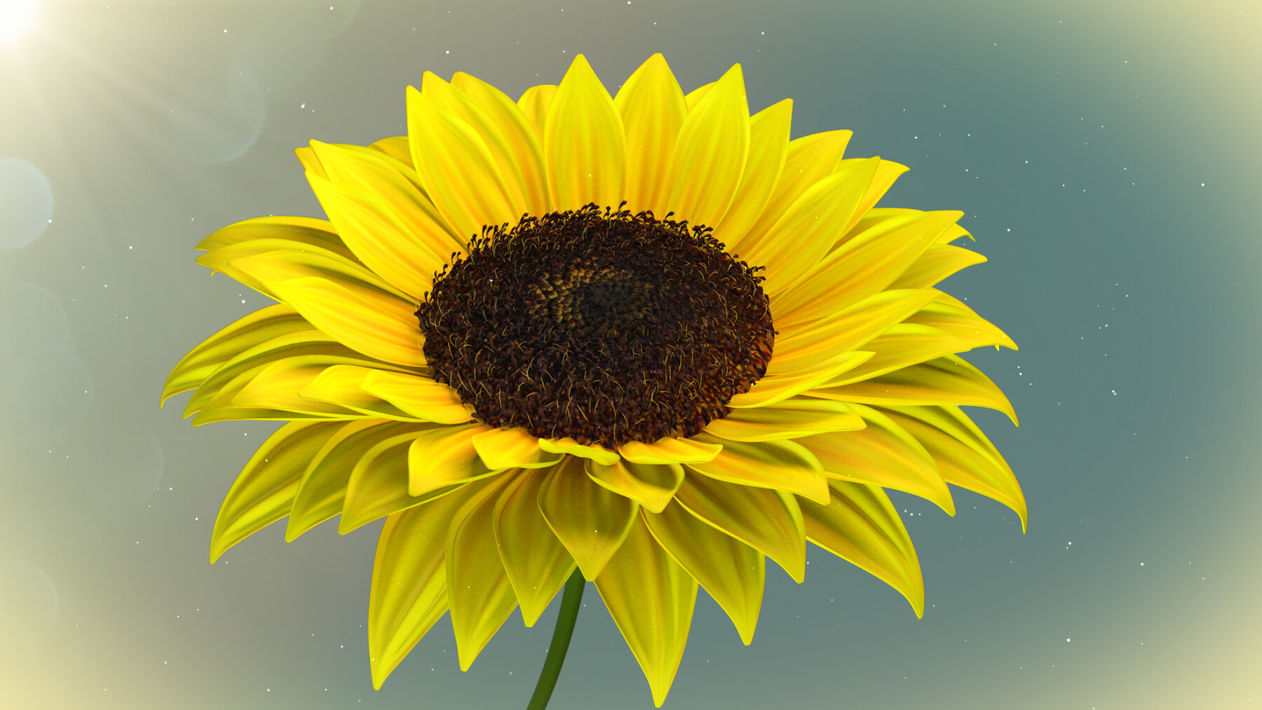 ArtStation - 3d Sunflower Animated | Resources