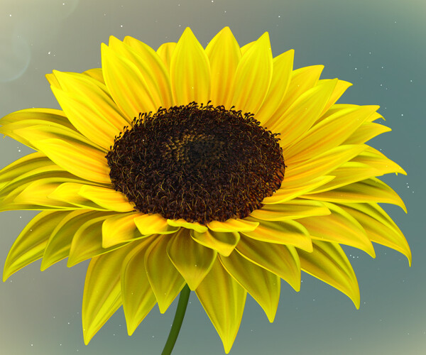 ArtStation - 3d Sunflower Animated | Resources