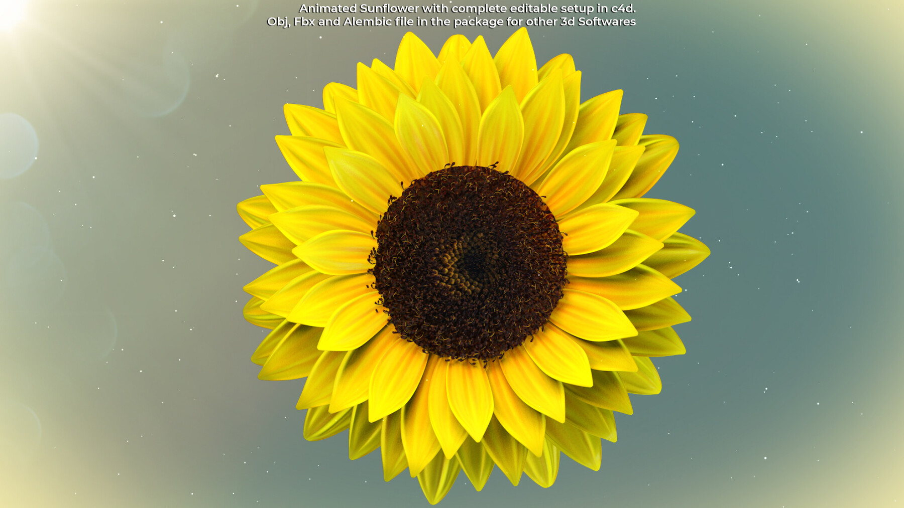 ArtStation - 3d Sunflower Animated | Resources