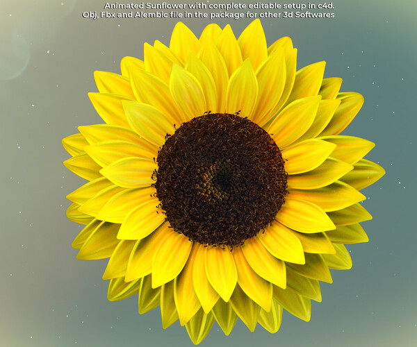 ArtStation - 3d Sunflower Animated | Resources