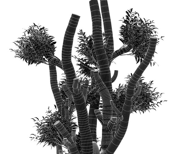 ArtStation - New Plant Beautiful Tree Japanese Cherry Pollard Willow ...