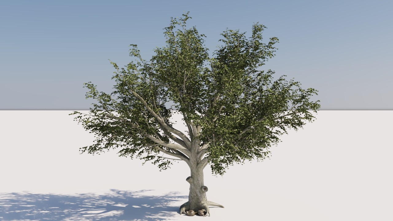 ArtStation - 3d Trees Pack | Resources