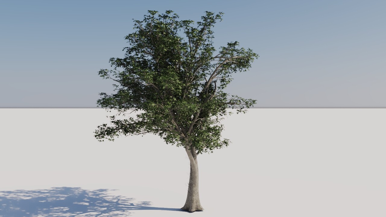 ArtStation - 3d Trees Pack | Resources