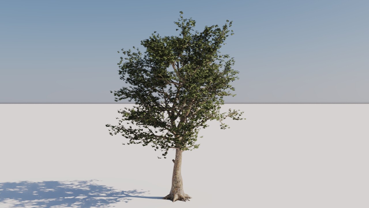 ArtStation - 3d Trees Pack | Resources