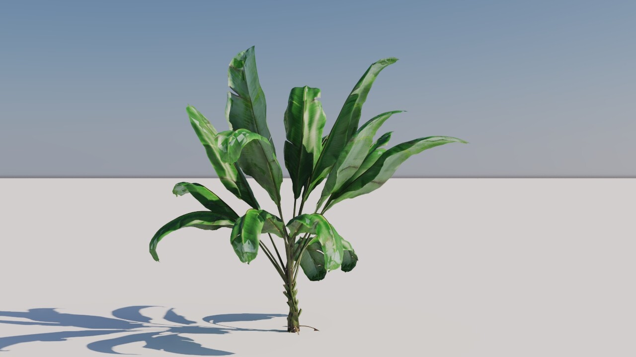 ArtStation - 3d Trees Pack | Resources