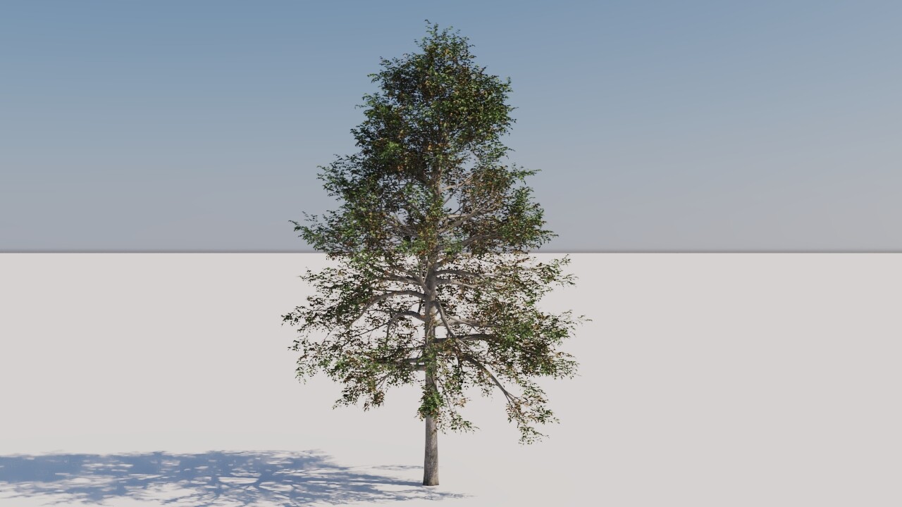 ArtStation - 3d Trees Pack | Resources