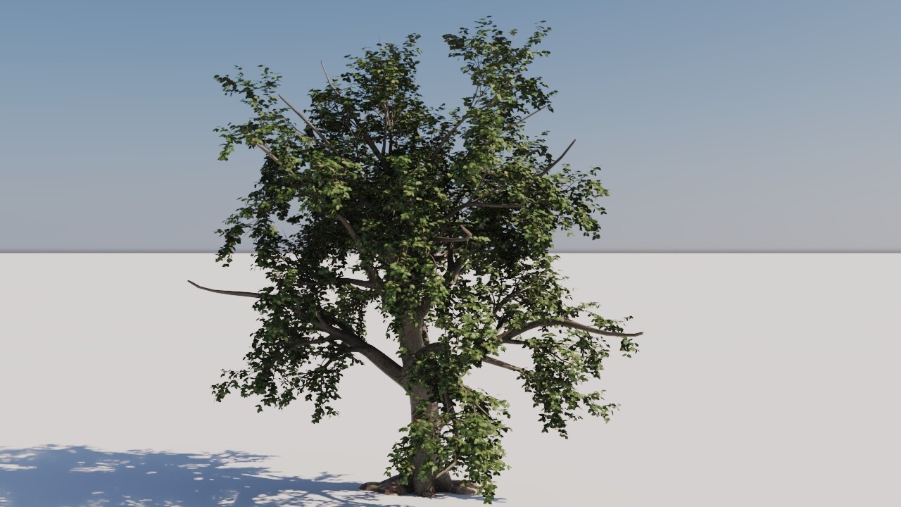 ArtStation - 3d Trees Pack | Resources