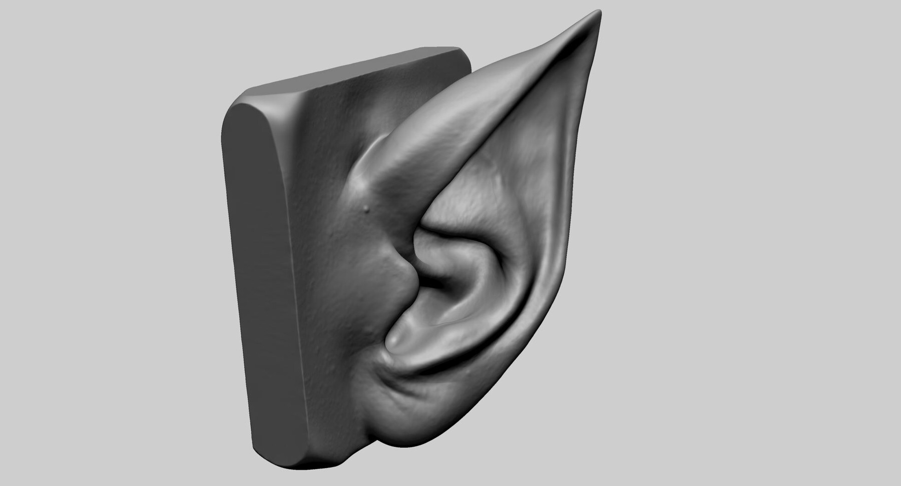 ArtStation - Ear Model C | Resources