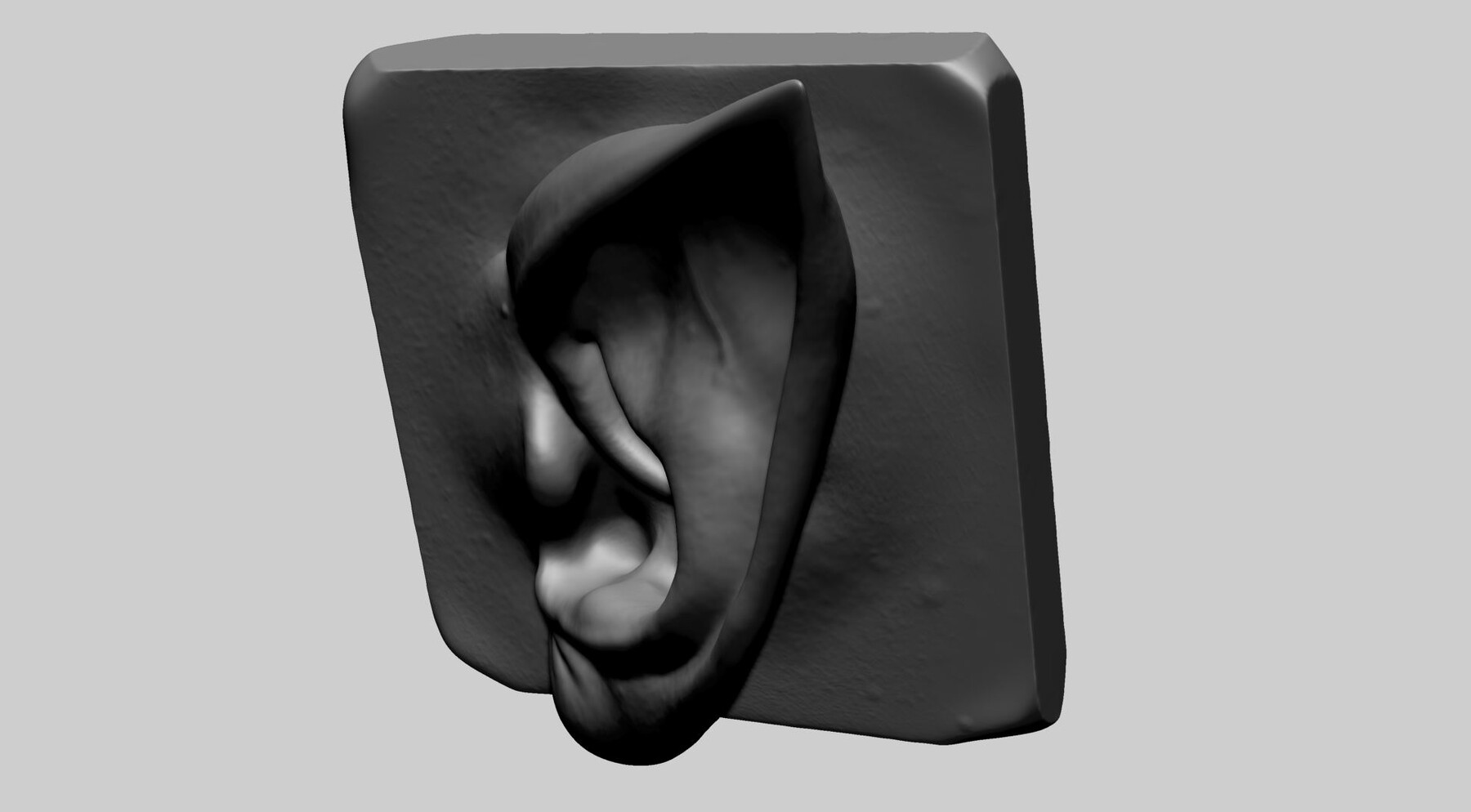 ArtStation - Ear Model C | Resources