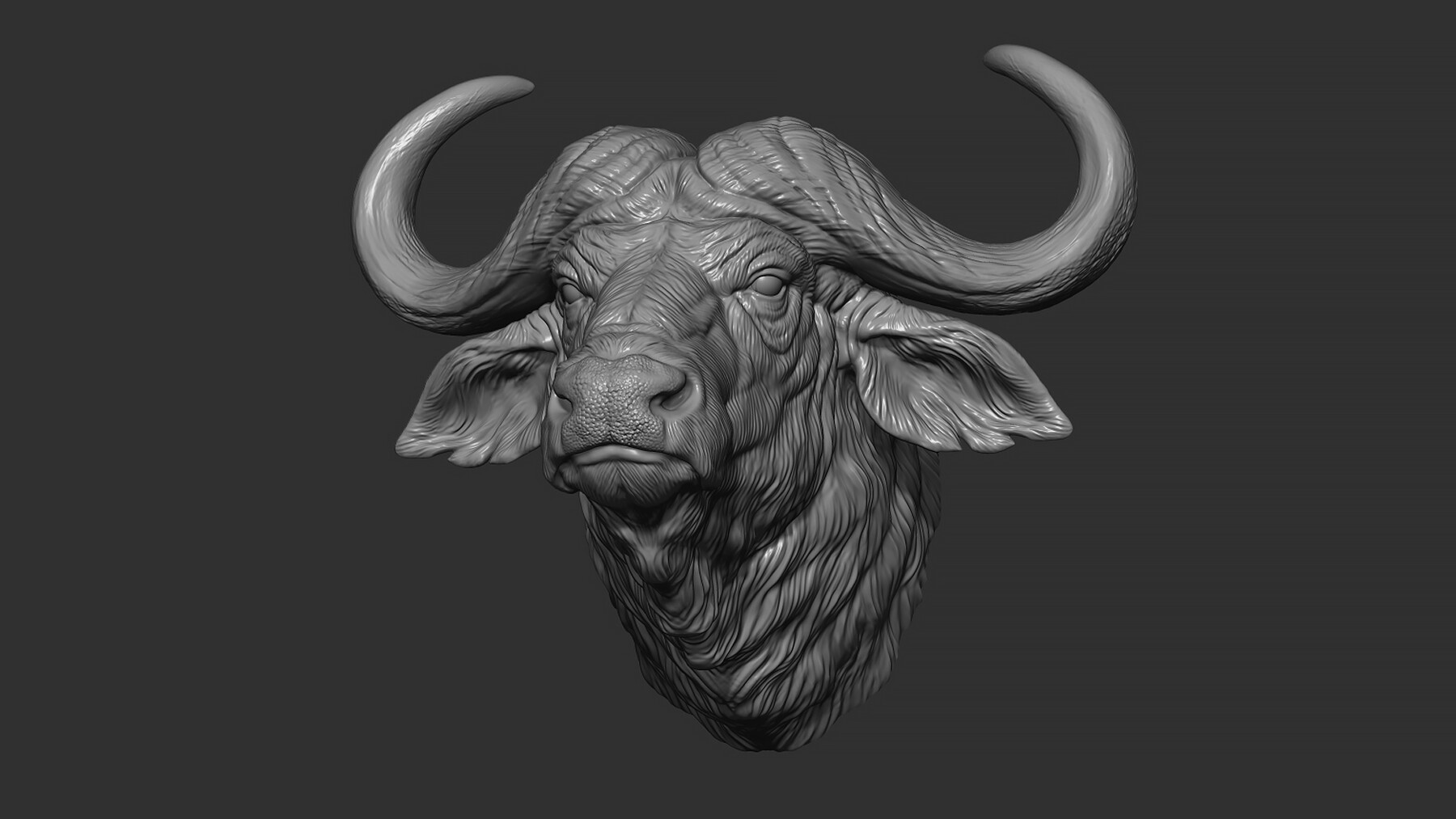 ArtStation - Buffalo shaggy head | Resources