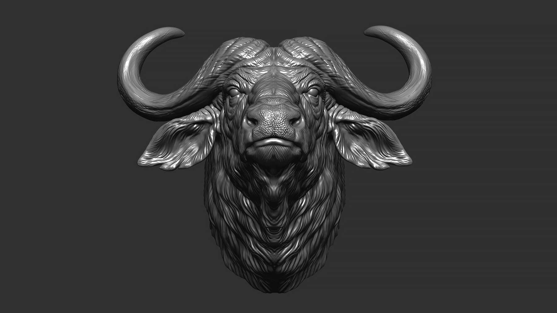 ArtStation - Buffalo shaggy head | Resources