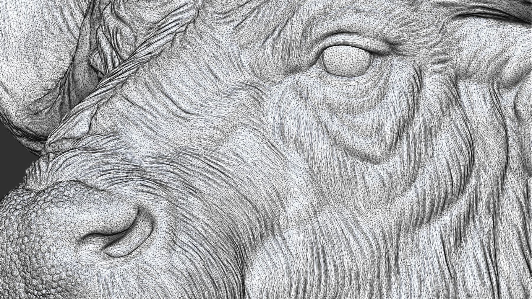 ArtStation - Buffalo shaggy head | Resources