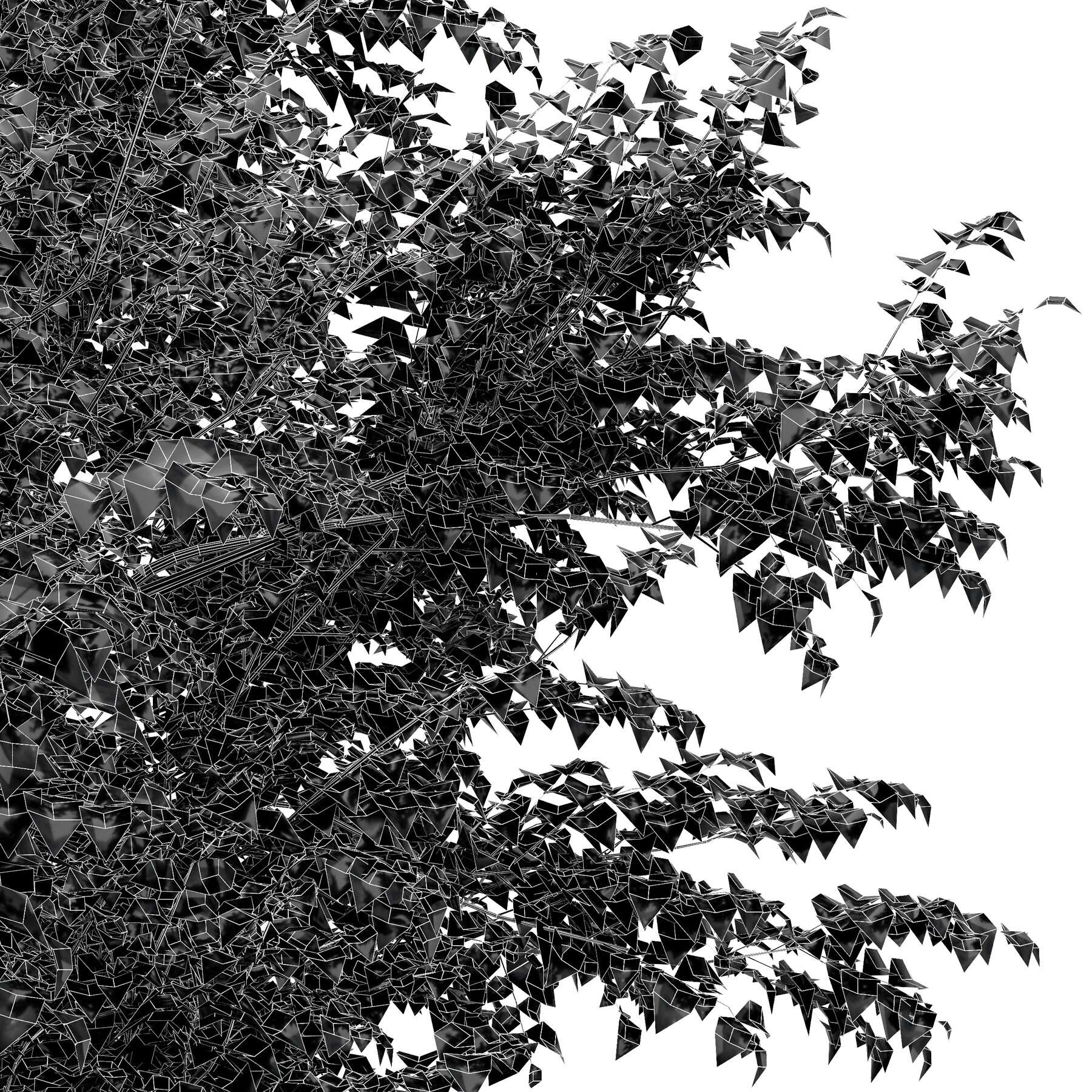 ArtStation - New Plant European Beech Big Joy Perfume Orange Michelia ...