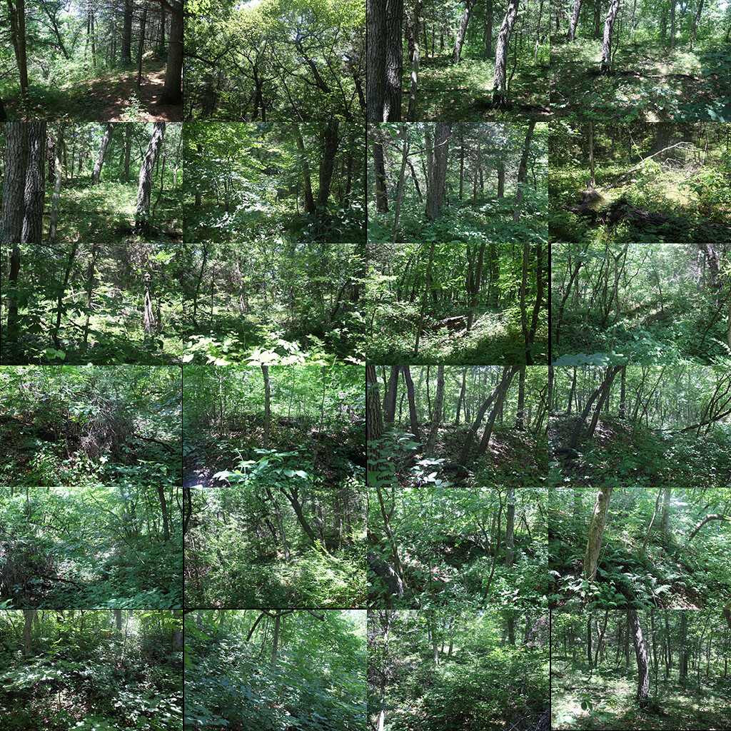 ArtStation - MIDWEST FOREST NATURE PACK | Resources