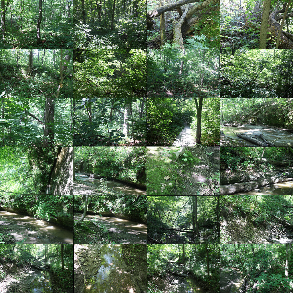 ArtStation - MIDWEST FOREST NATURE PACK | Resources