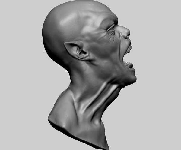 ArtStation - Creature Head C1 | Resources