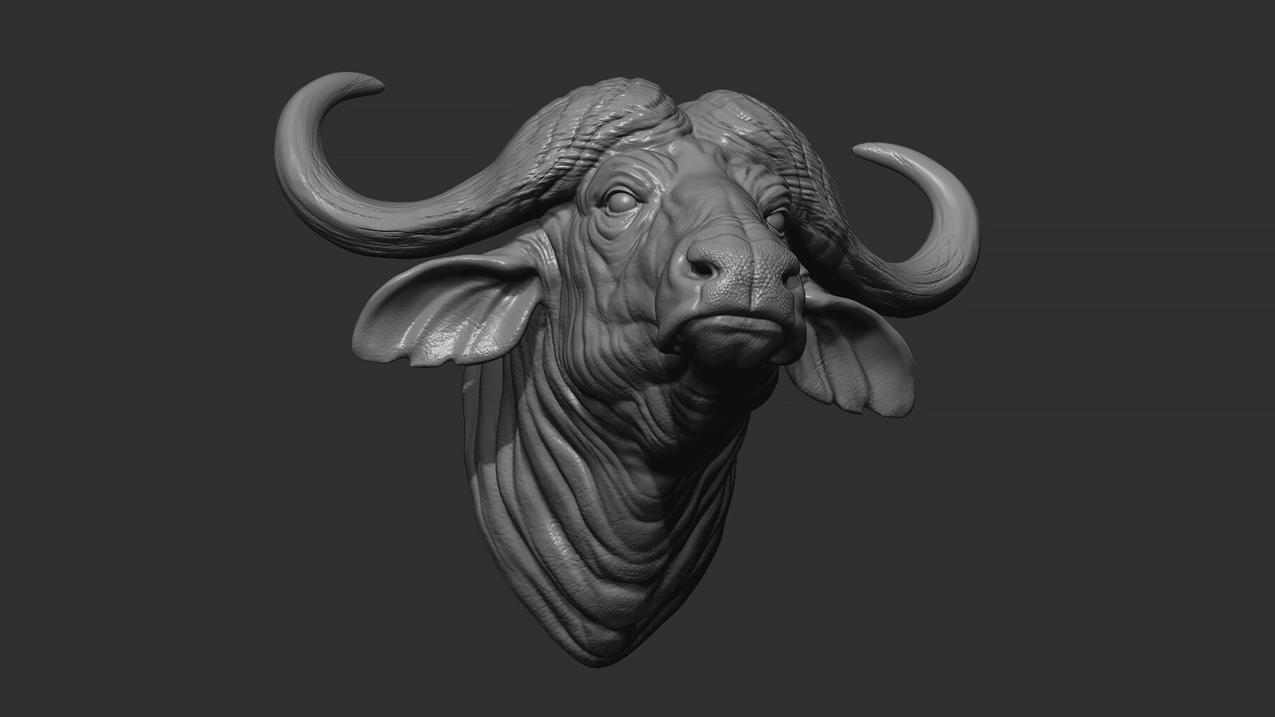 ArtStation - Buffalo head | Resources