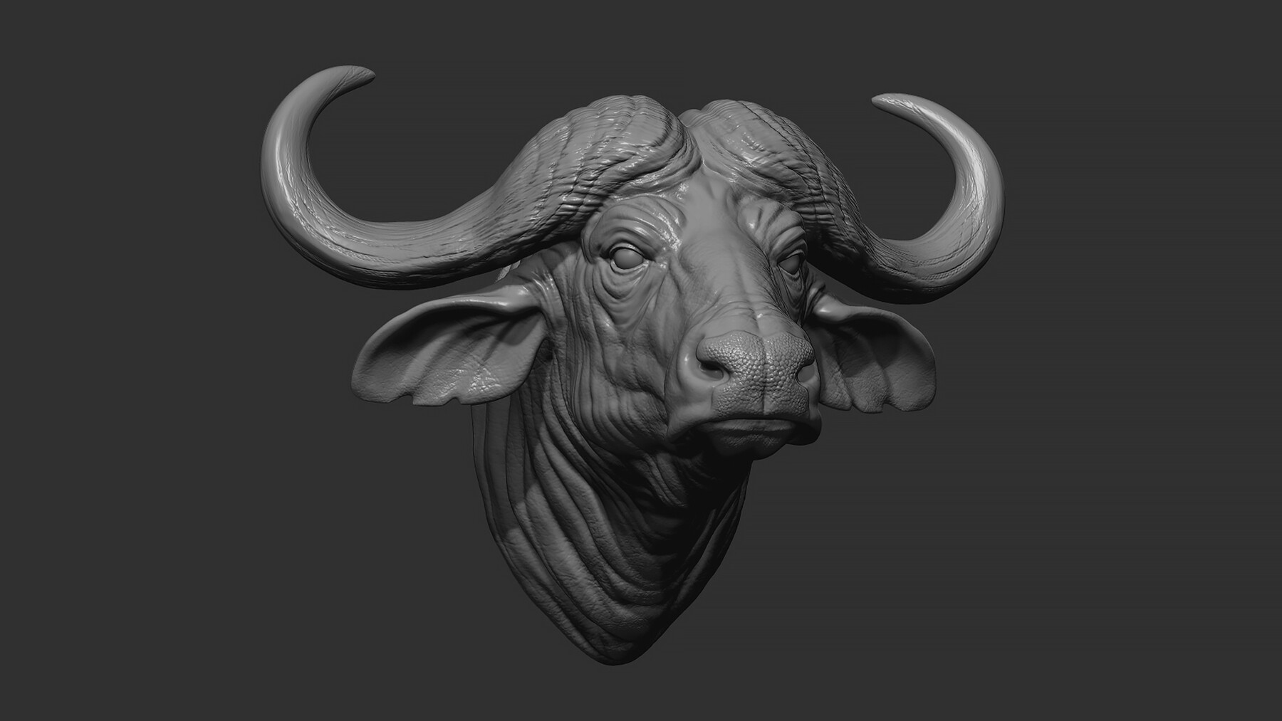 ArtStation - Buffalo head | Resources