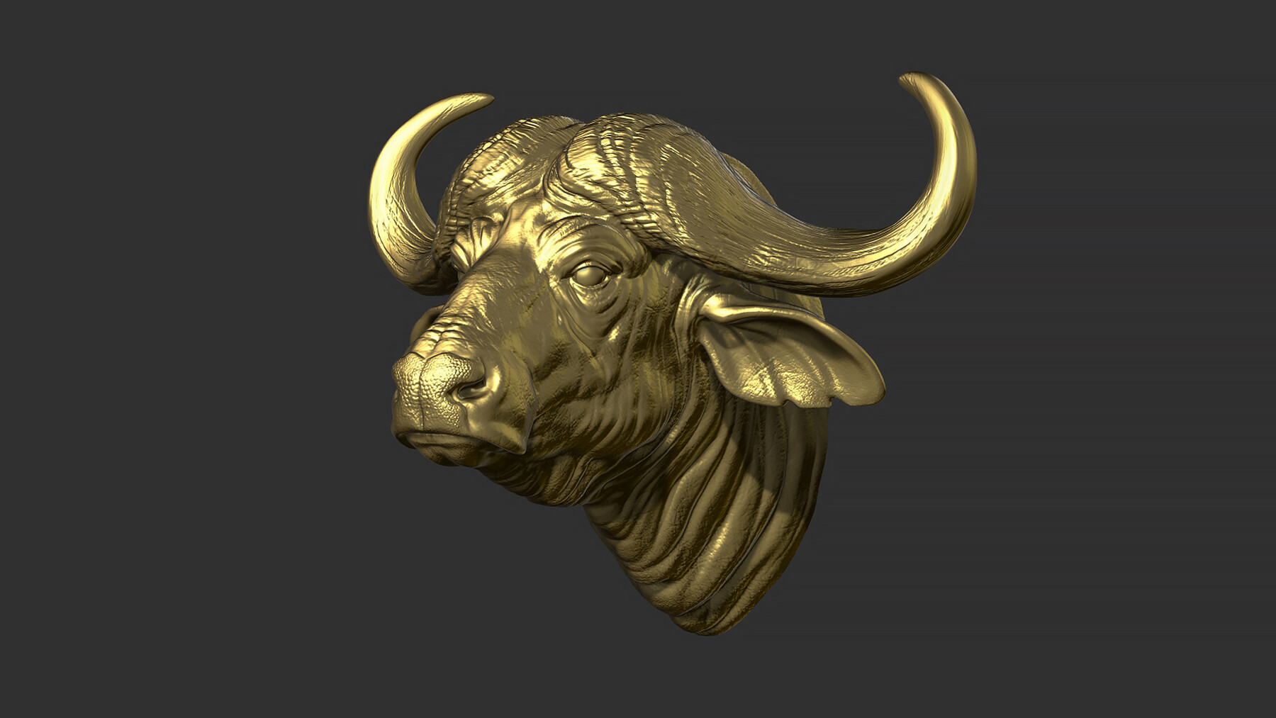 ArtStation - Buffalo head | Resources