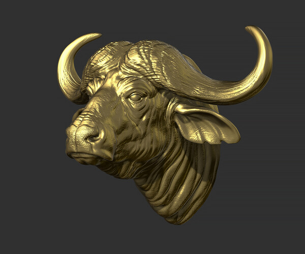ArtStation - Buffalo head | Resources