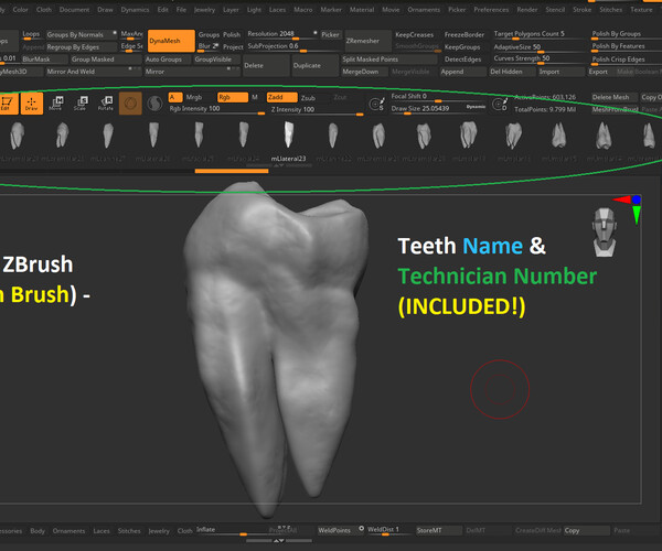 ArtStation - Dentist-Grade Human Teeth Scans - (Young-Adult Male ...