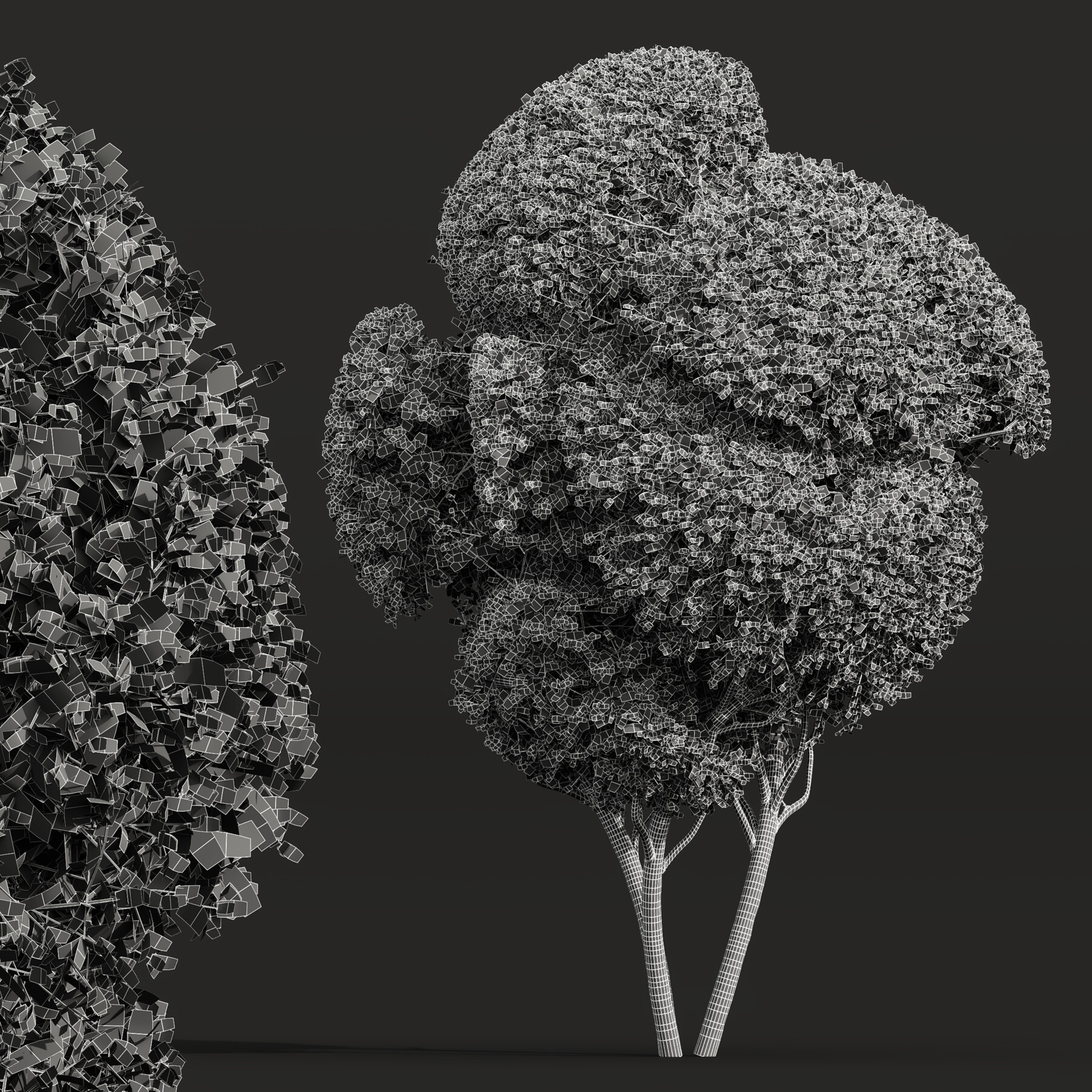 ArtStation - Ficus Concinna Bonsai Pruned-3 trees | Game Assets