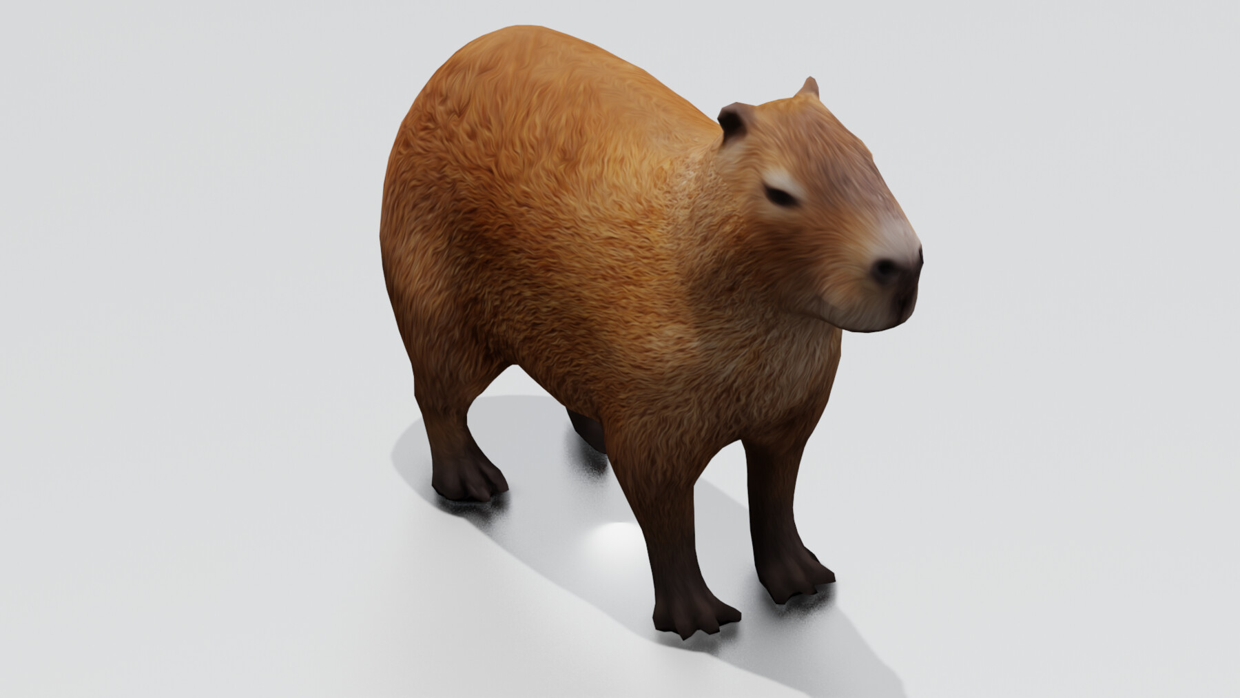 ArtStation - capybara 3d model | Game Assets