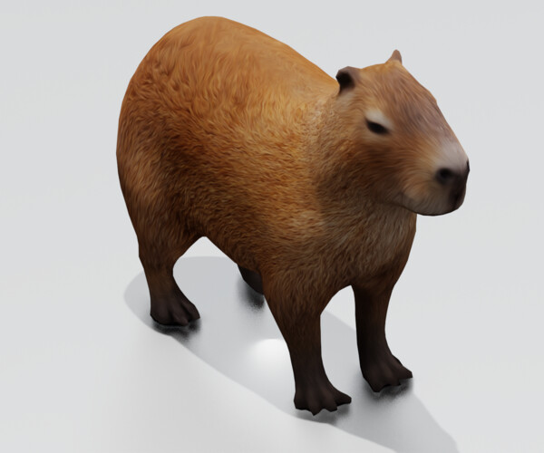 ArtStation - capybara 3d model | Game Assets