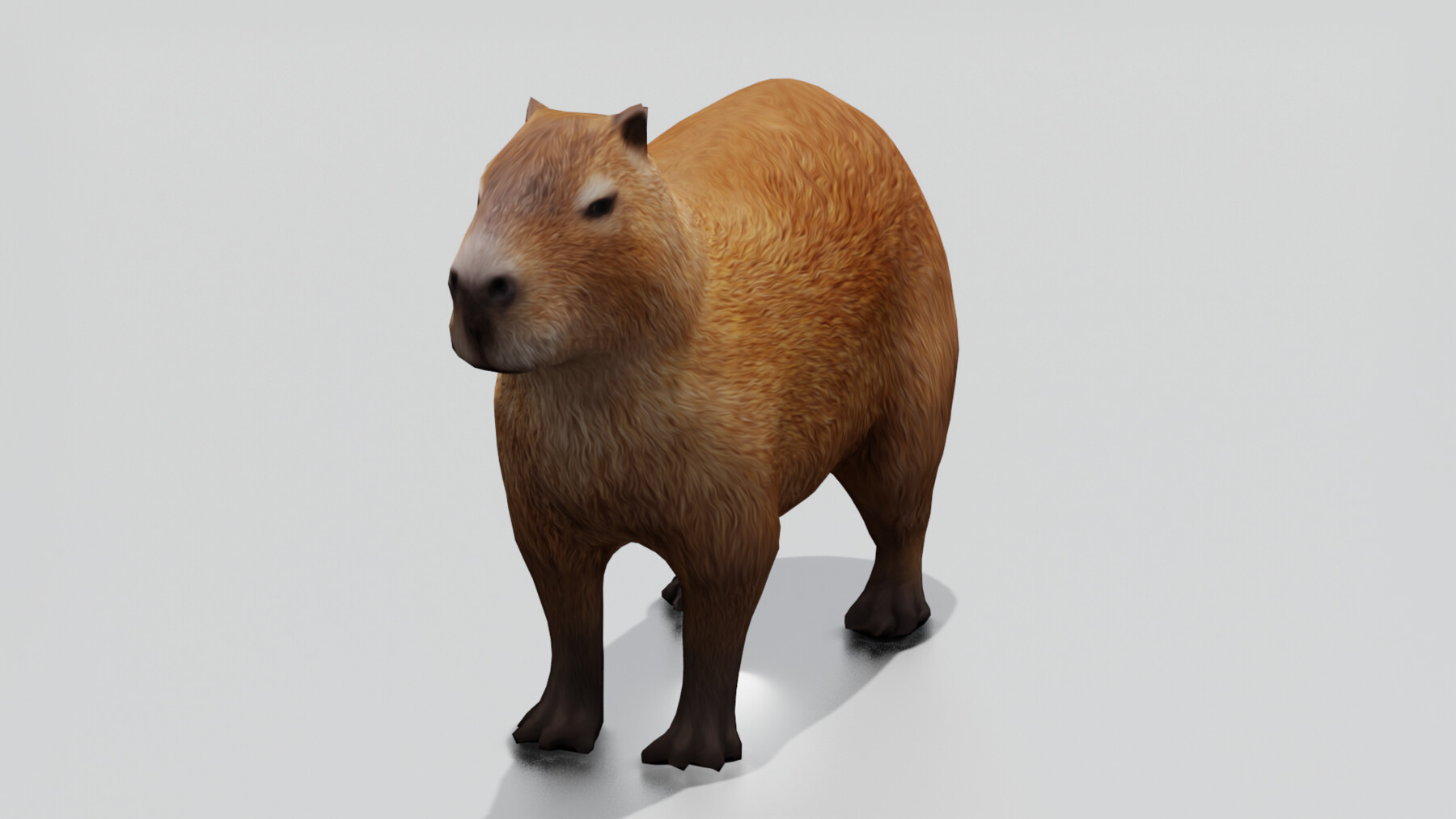 ArtStation - capybara 3d model | Game Assets
