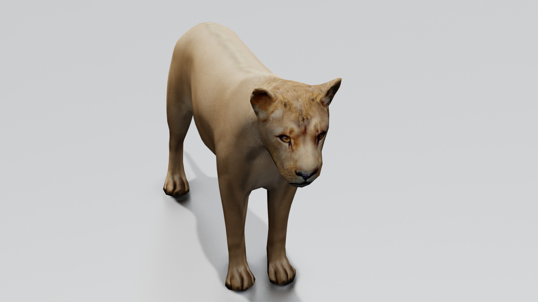 ArtStation - Wild Lioness 3 d model | Game Assets