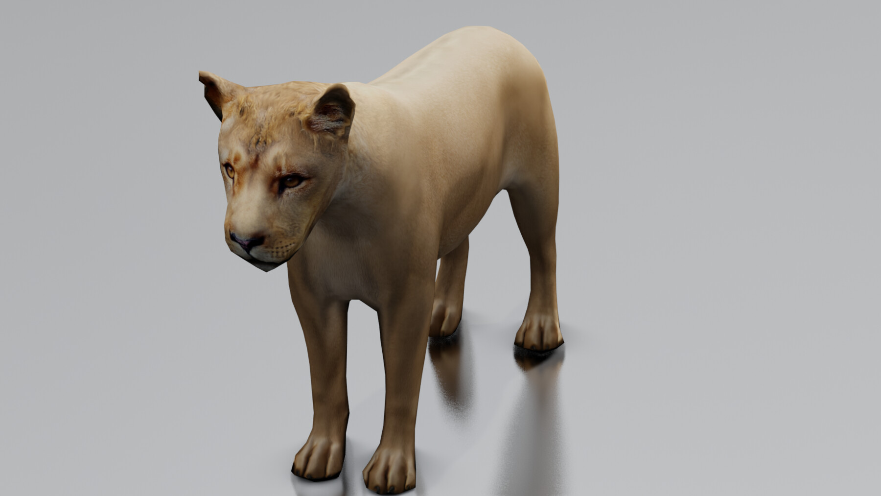 ArtStation - Wild Lioness 3 d model | Game Assets