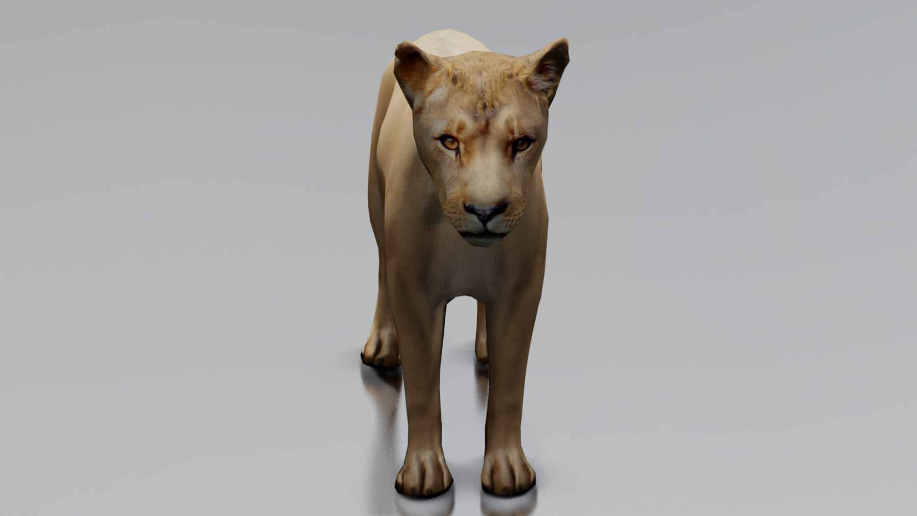 ArtStation - Wild Lioness 3 d model | Game Assets