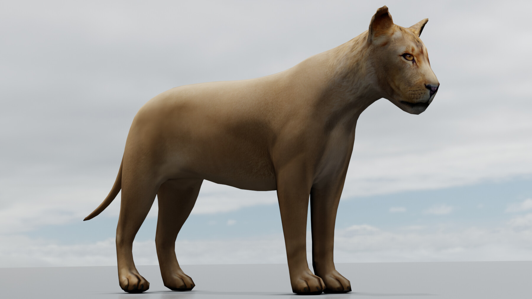 ArtStation - Wild Lioness 3 d model | Game Assets