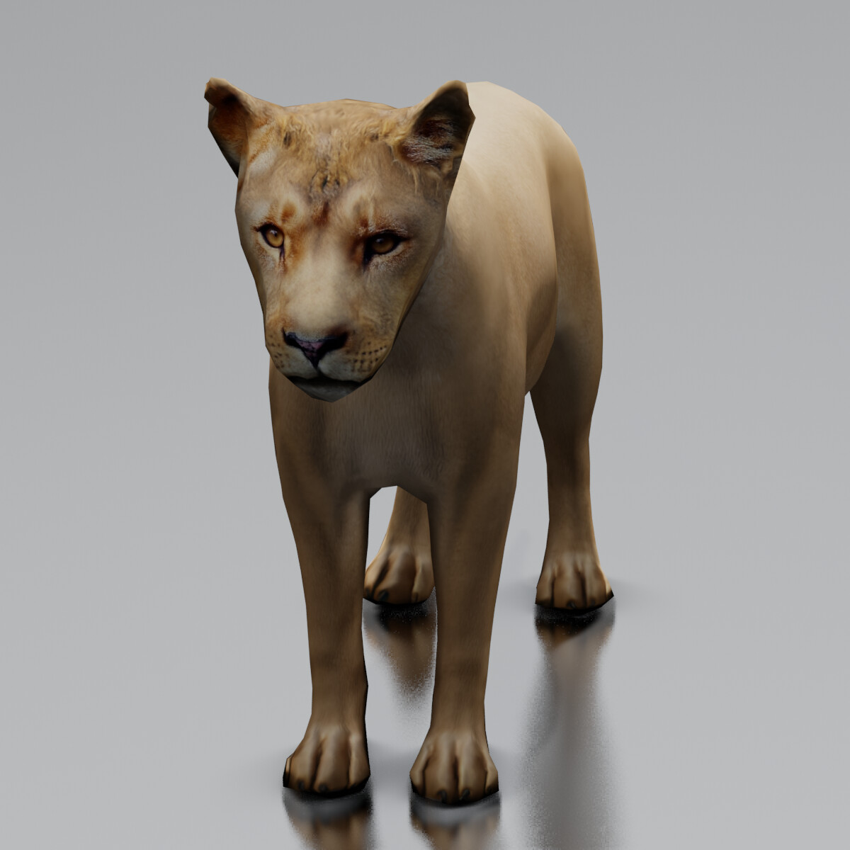 ArtStation - Wild Lioness 3 d model | Game Assets