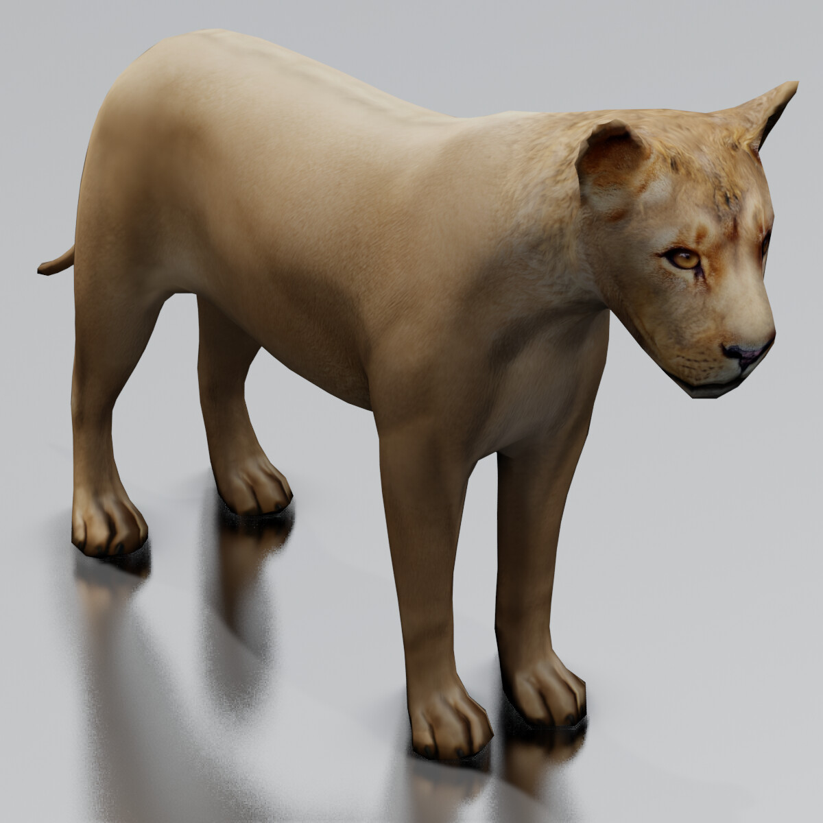 ArtStation - Wild Lioness 3 d model | Game Assets
