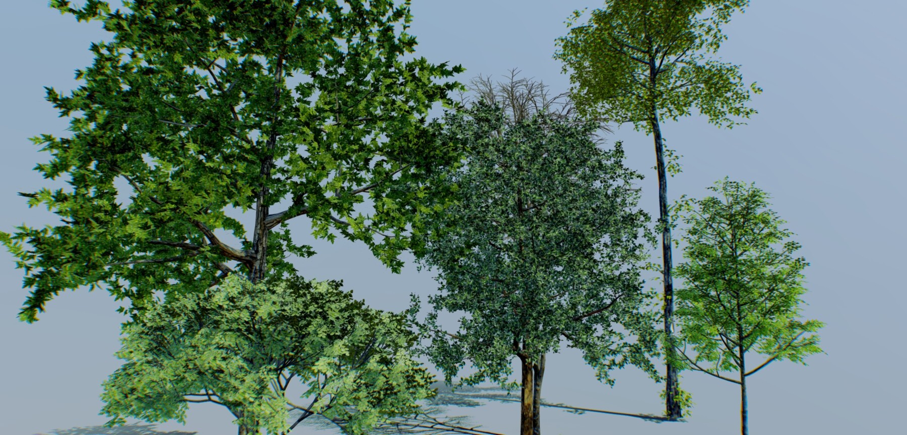 ArtStation - tree pack 02 (free) | Game Assets