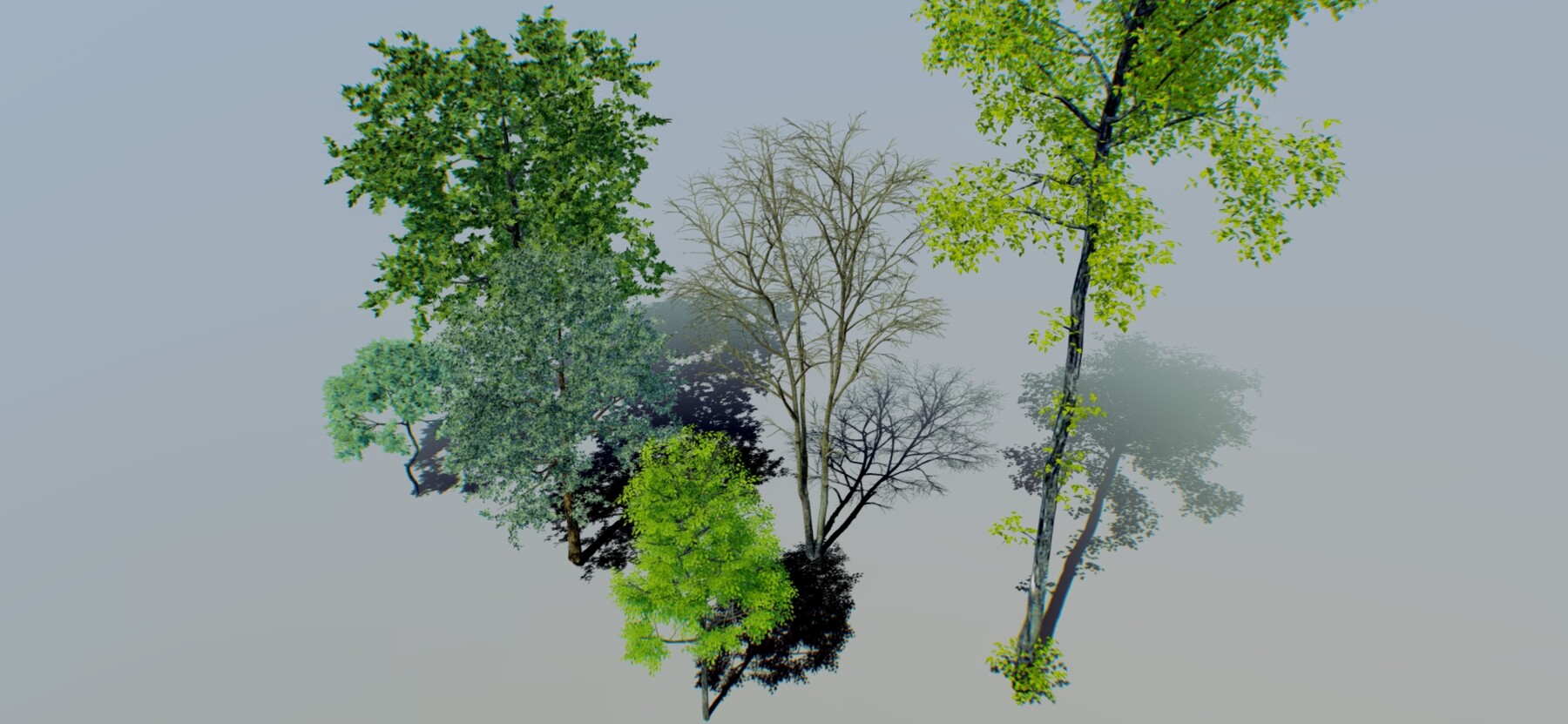 ArtStation - tree pack 02 (free) | Game Assets