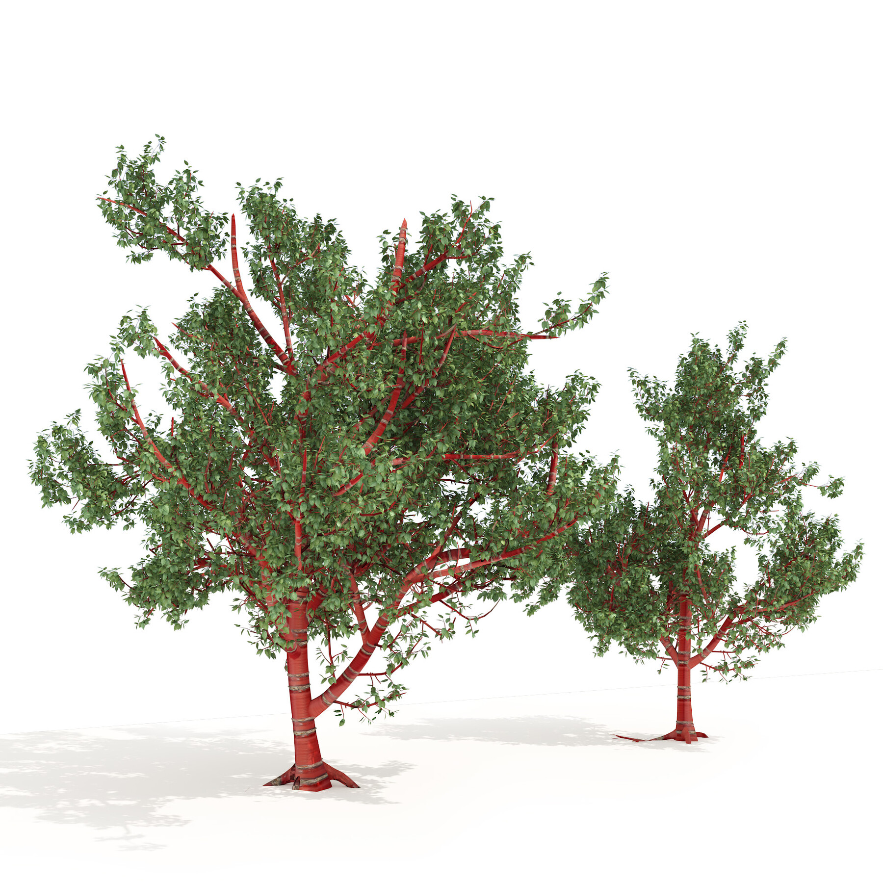 ArtStation - Red Bark cherry trees | Game Assets