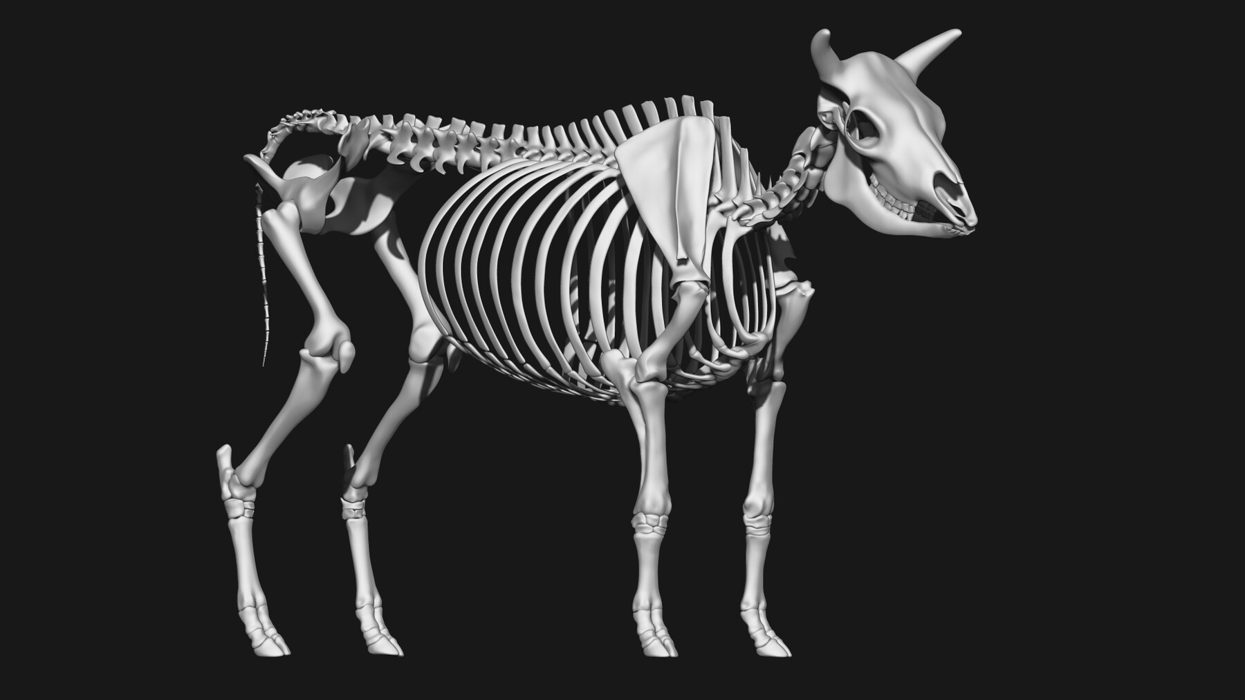 ArtStation - Cow skeleton | Resources