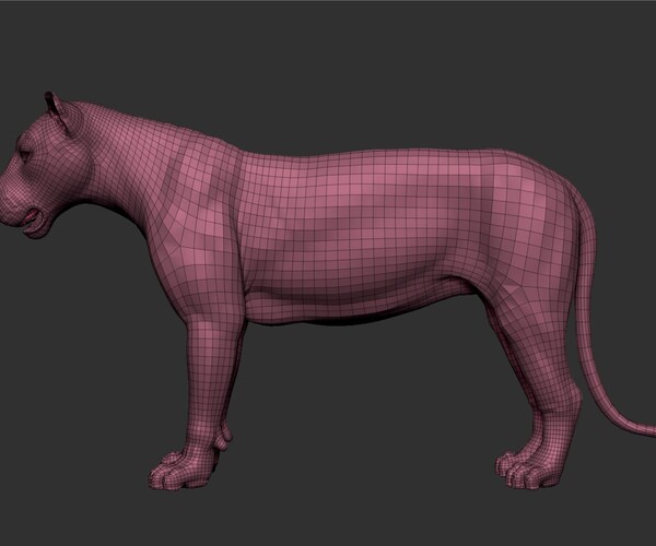 ArtStation - Lion Base Mesh | Resources