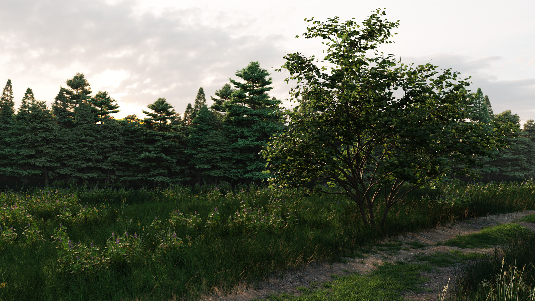 ArtStation - Simple Scatter | Resources