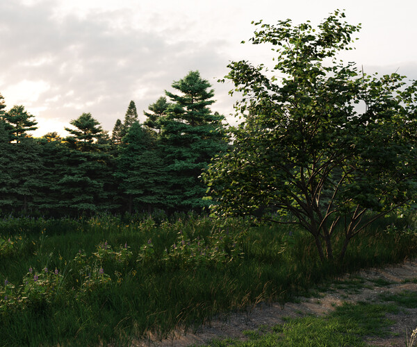 ArtStation - Simple Scatter | Resources